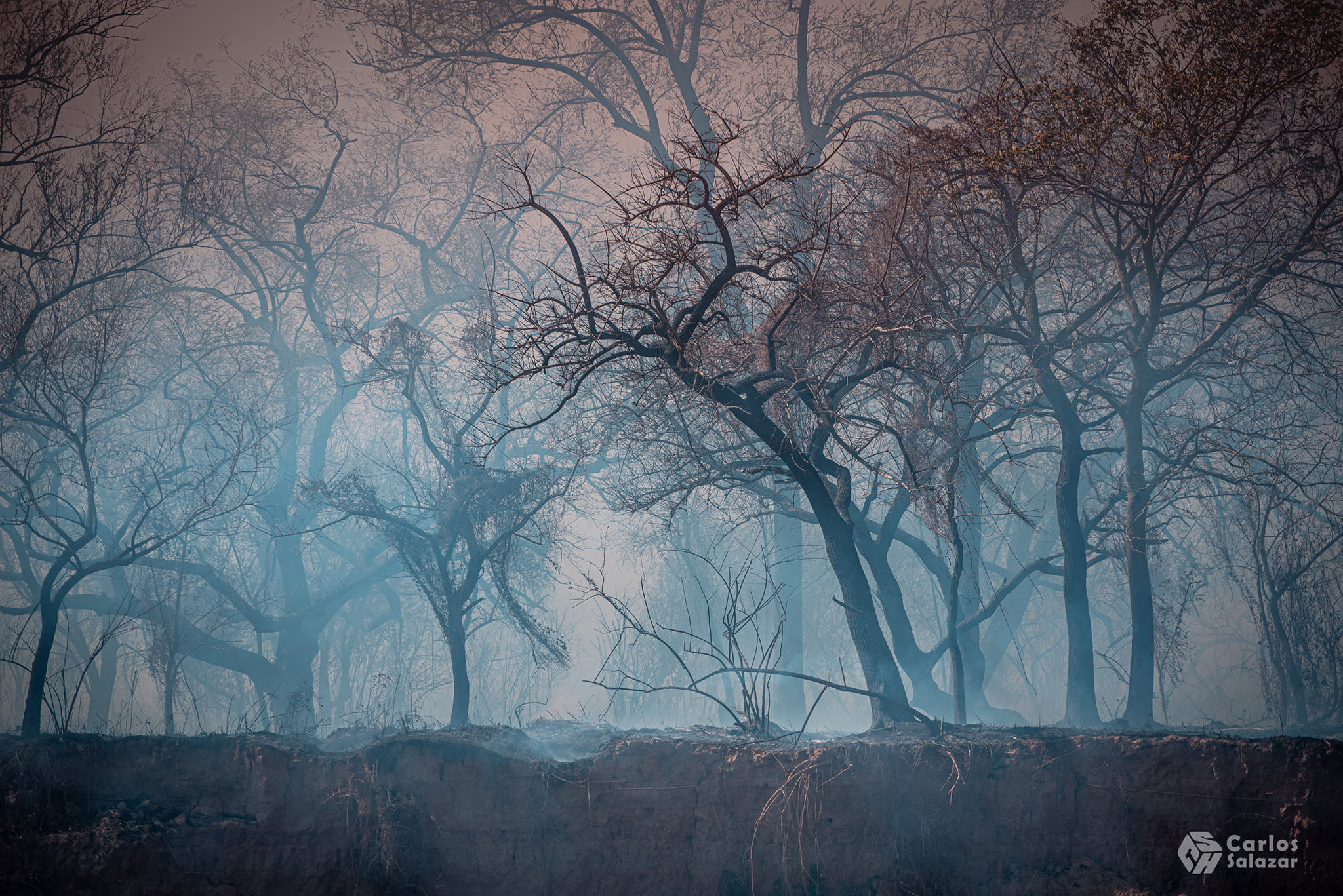 Ecocidio – enREDando