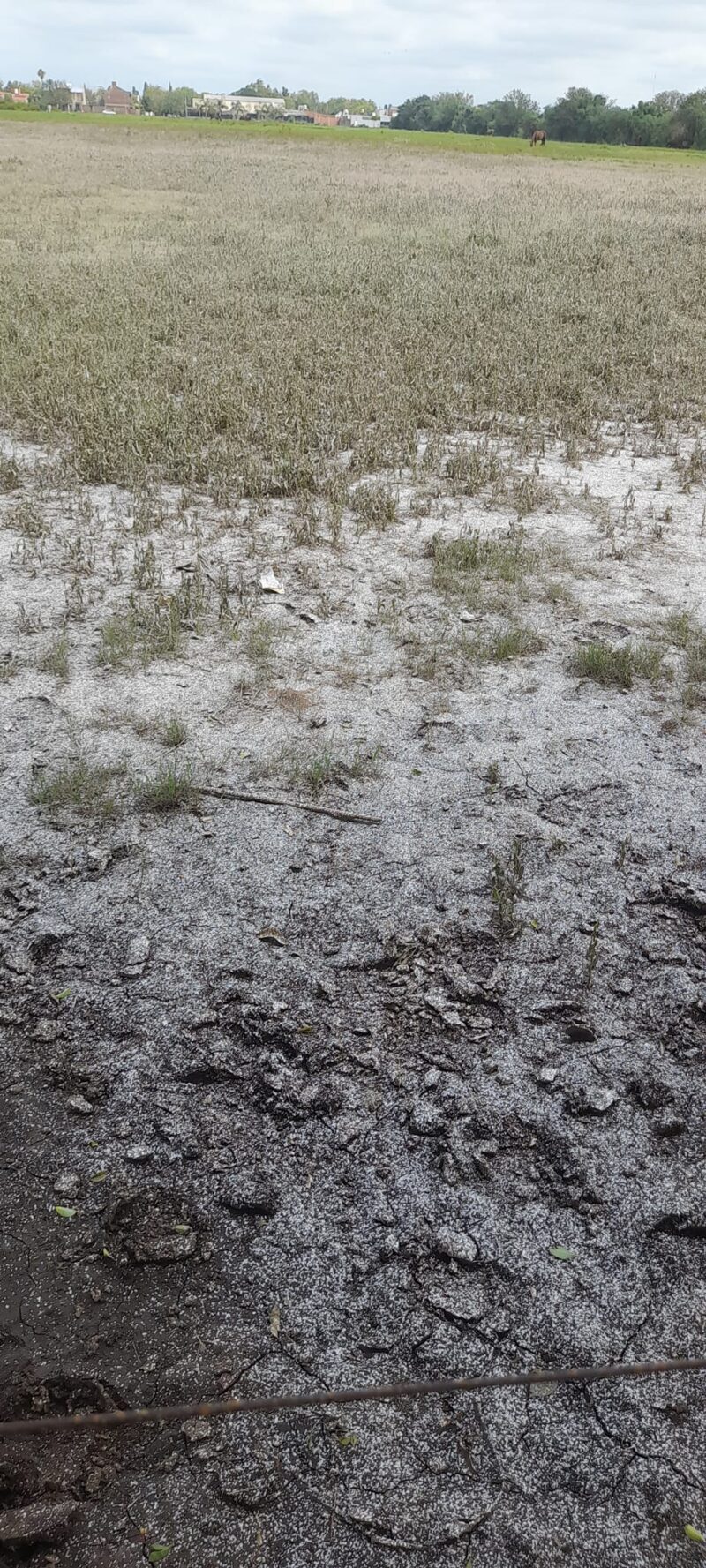 Atanor: explosión y clausura – enREDando